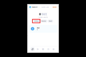 Suiet(Sui対応 Wallet)とは？特徴や始め方・使い方を解説！ | JinaCoin